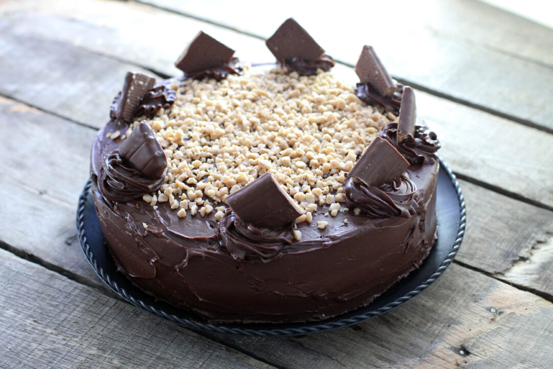 Mocha Cake Recipe - Food Fanatic