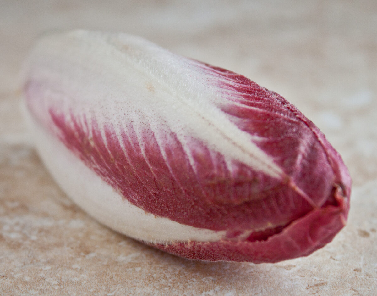 Endive & Ham Bake Recipe - Food Fanatic
