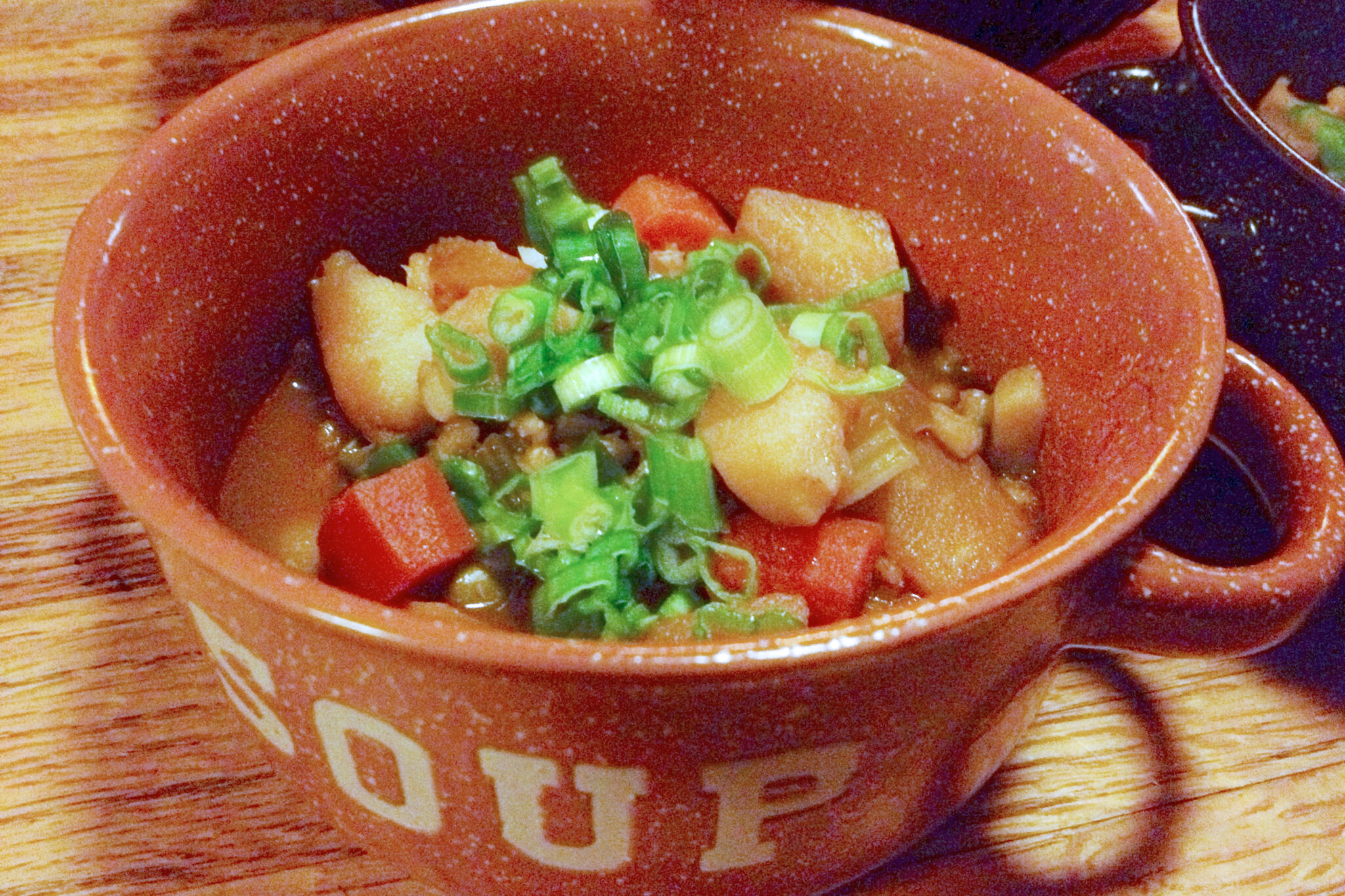 Vegan Stew Recipe - Food Fanatic