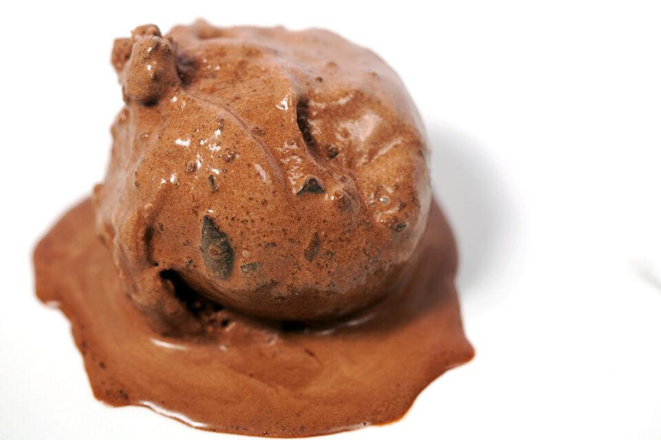 Thin Mint Ice Cream Recipe - Food Fanatic