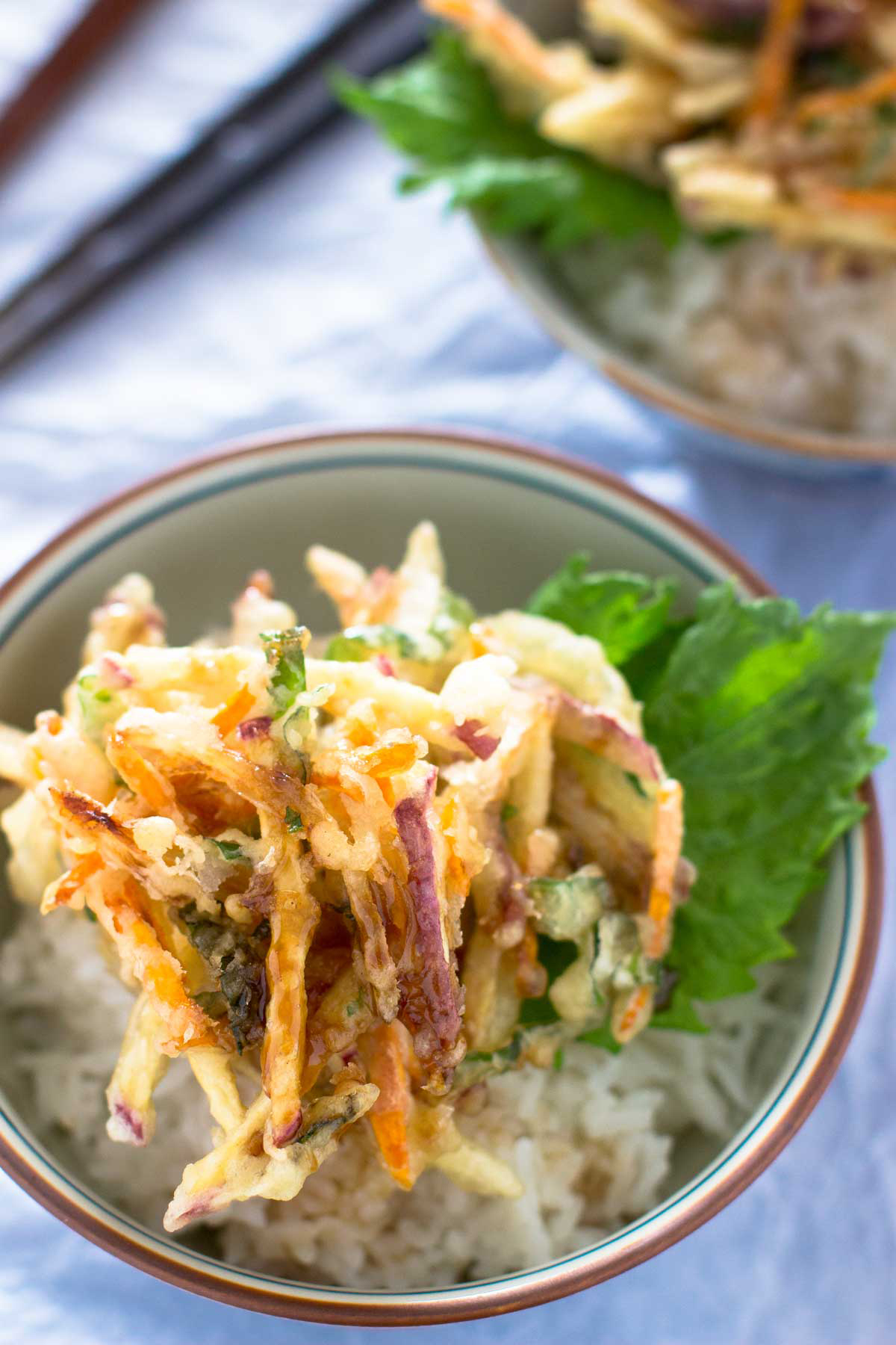 Kakiage Don Recipe - Food Fanatic