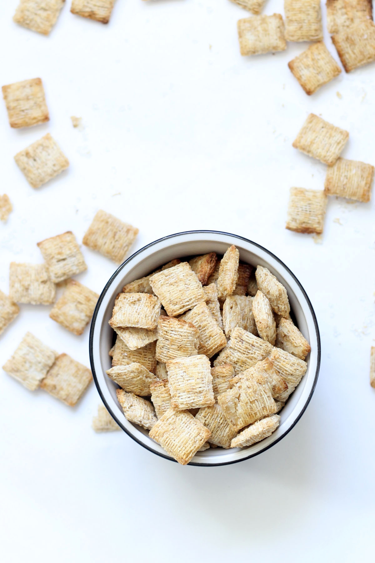 Homemade Triscuits Recipe - Food Fanatic