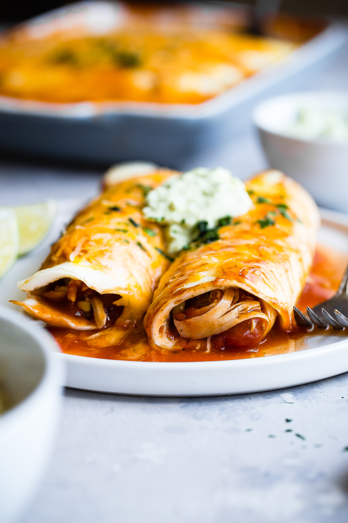 Healthy Chicken Enchiladas Recipe - Food Fanatic