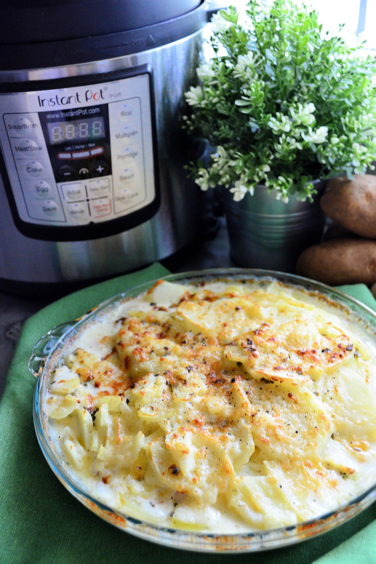 Instant Pot Scalloped Potatoes Recipe - Food Fanatic