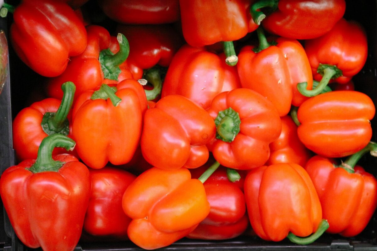 When To Pick Bell Peppers - Food Fanatic