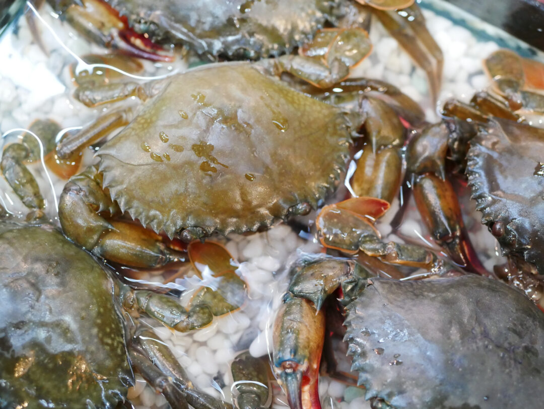 How to Eat Soft Shell Crab - Food Fanatic